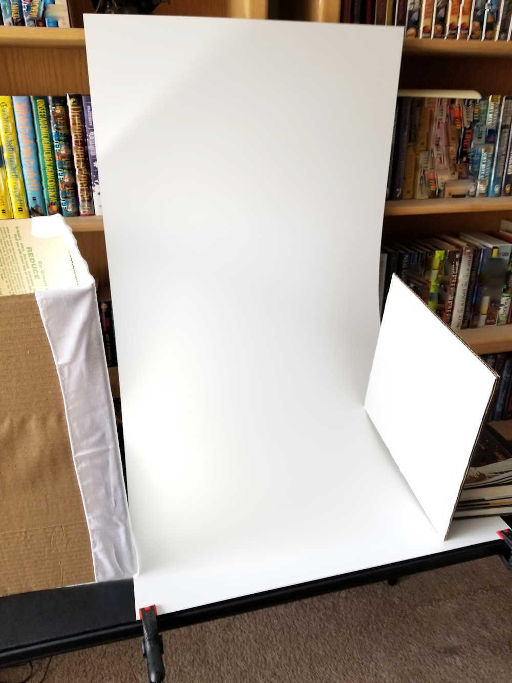 How to Set Up a DIY Photo Studio for $20.00 - The Missed Details Blog